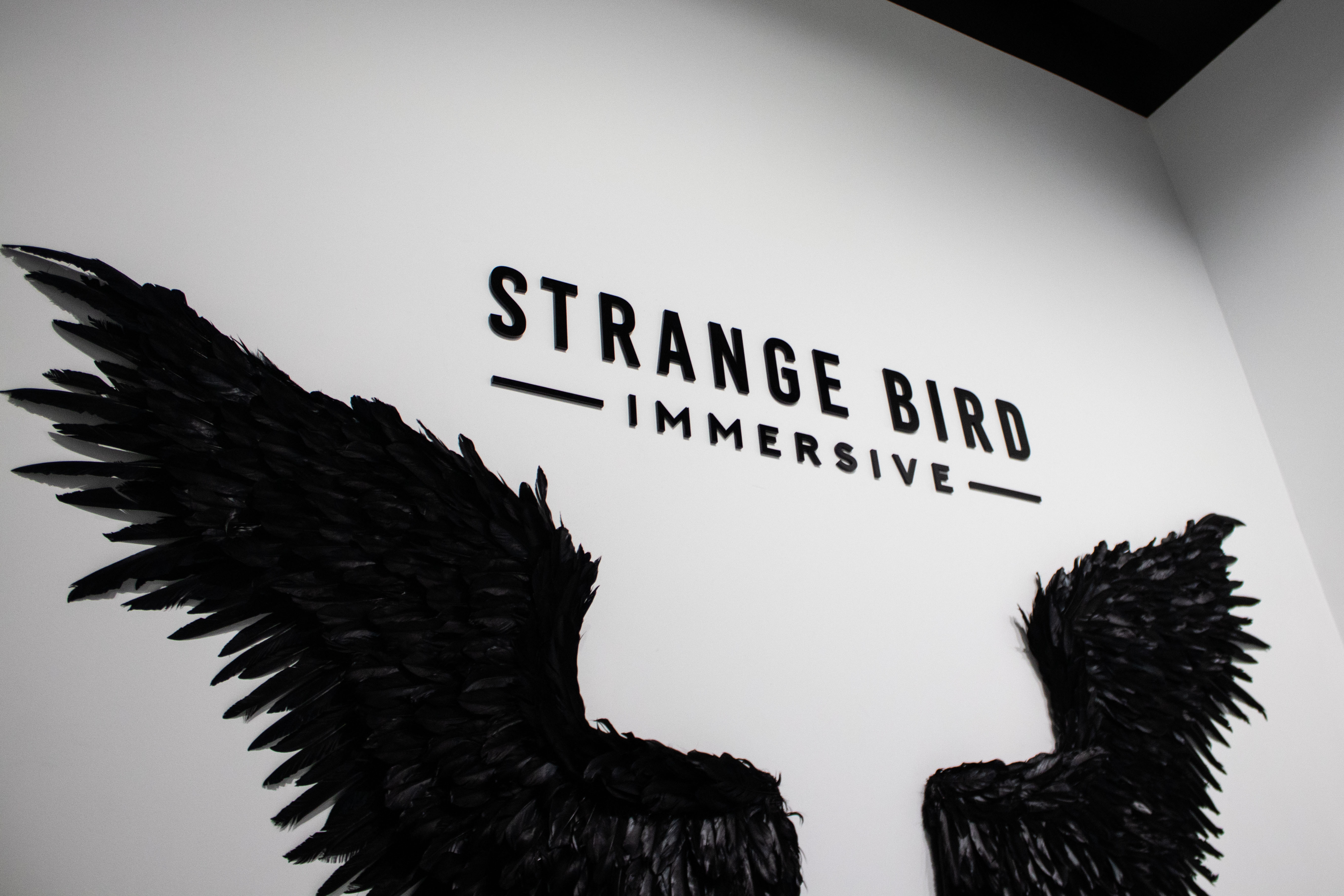Strange Bird Immersive | About Us